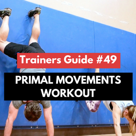 Primal Movements Workout | Trainers Guide #49 - AXFIT.COM